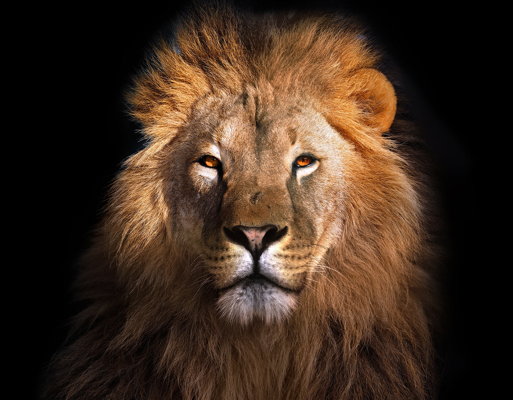 How To Have Great Leadership | The 9 Qualities Of A Good King